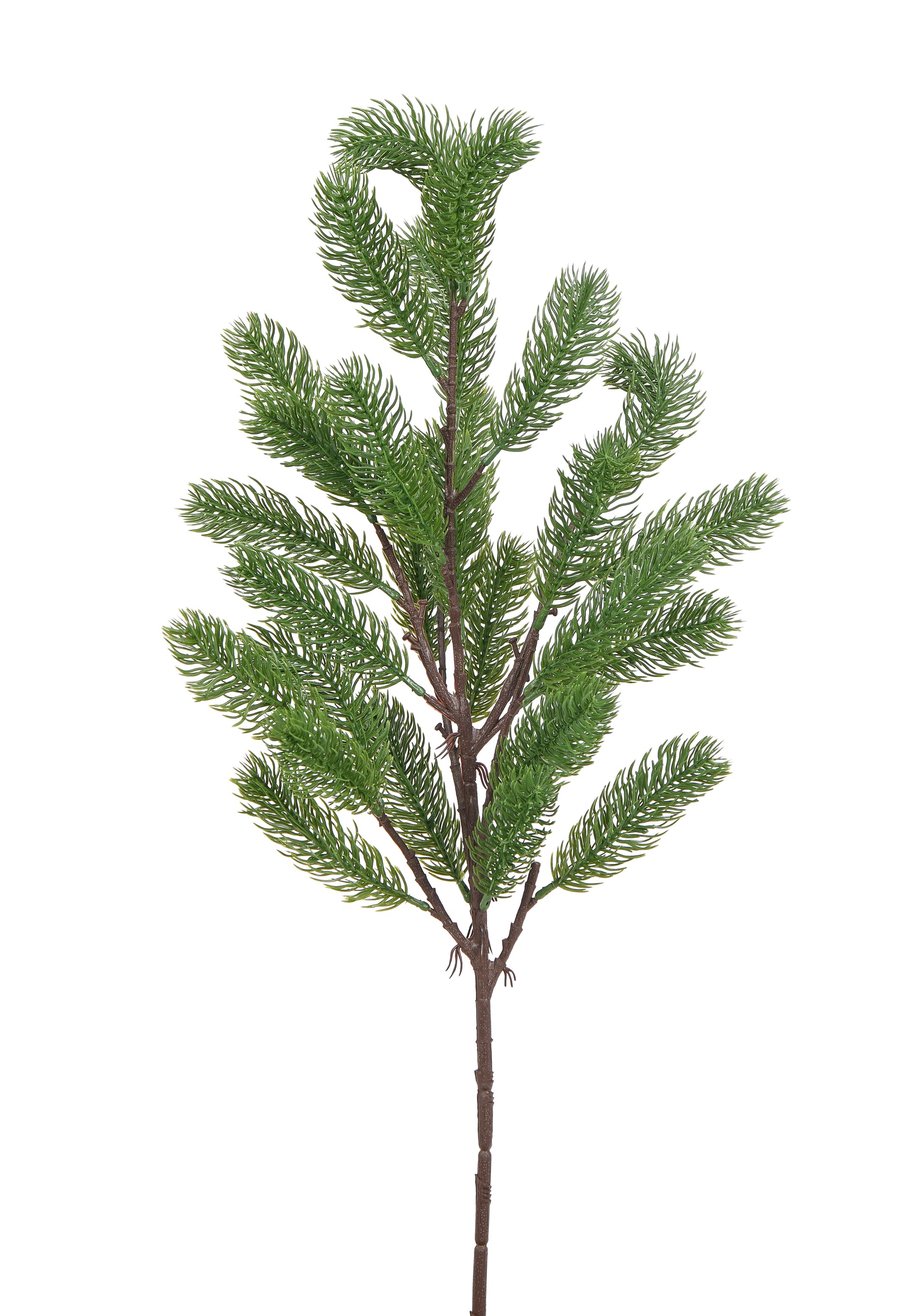 Fir Branch. 68 cm