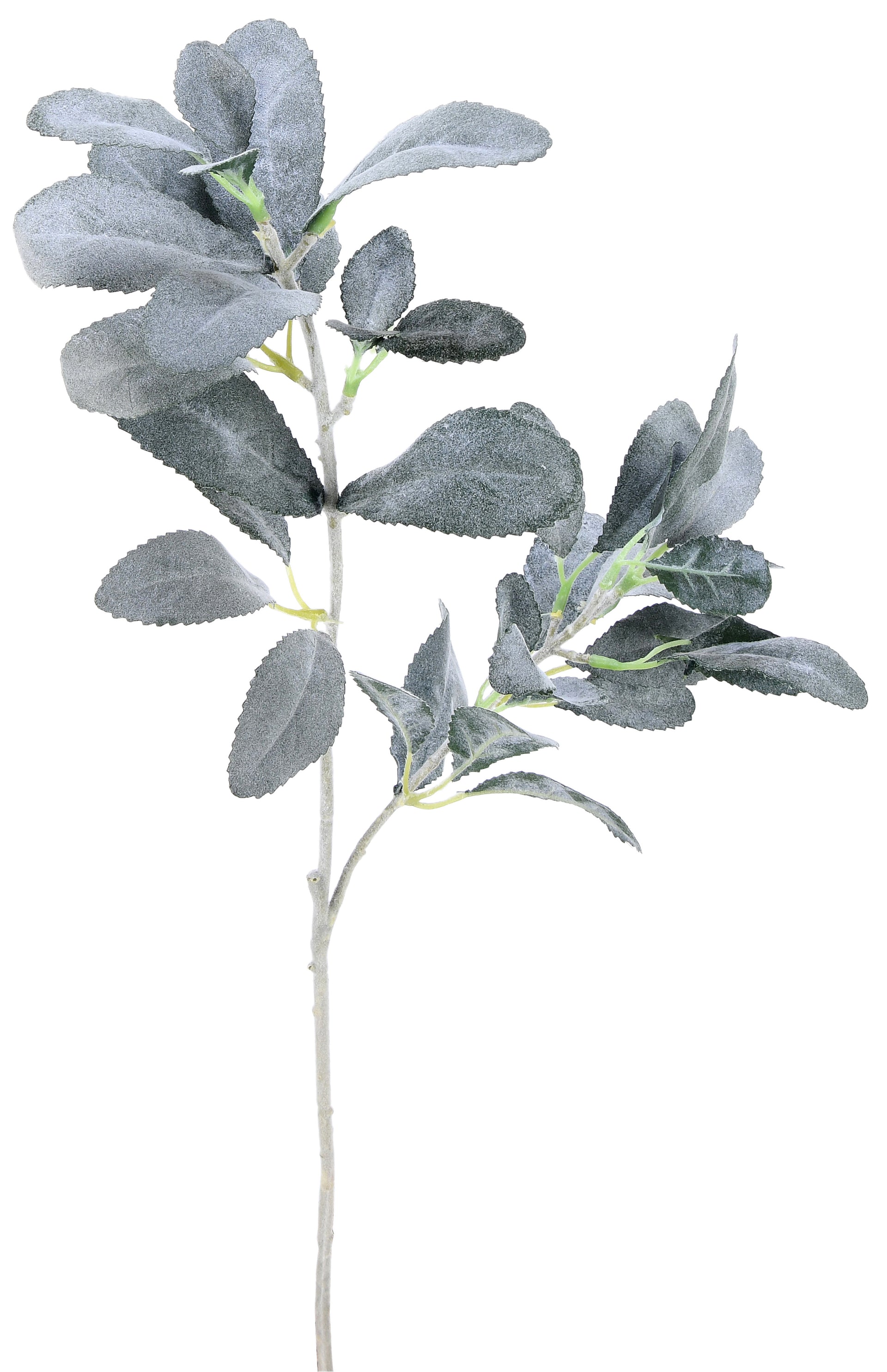 Leaf Branch. 68 cm