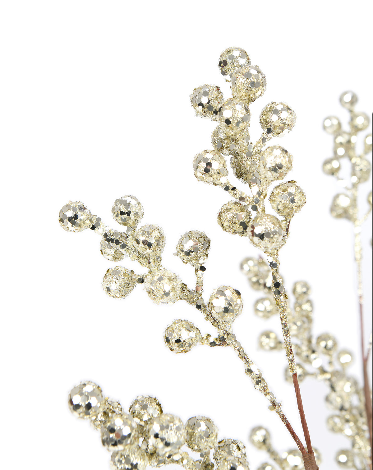 Berry Branch. 67 cm